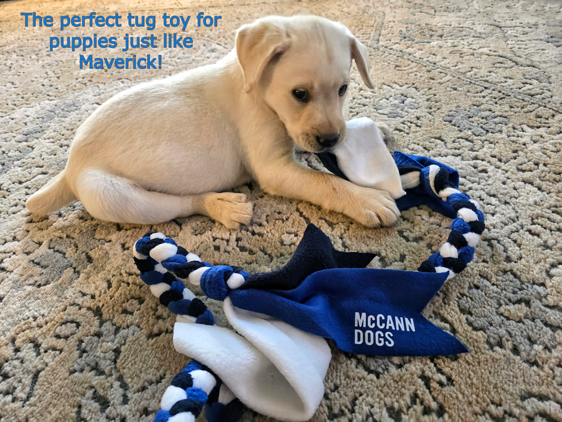 McCann Dogs Puppy Training Tug Toy (Puppy Tug) – McCann Professional ...