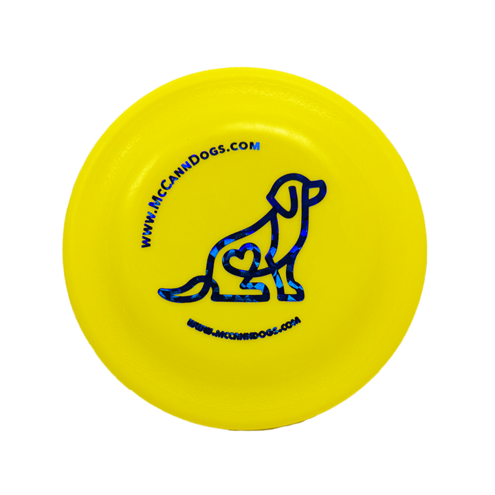 McCann Dogs SofFlite Puppy Disc – McCann Professional Dog Trainers