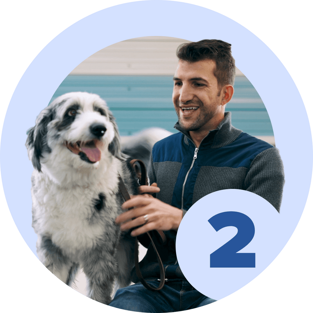 Classes – McCann Professional Dog Trainers
