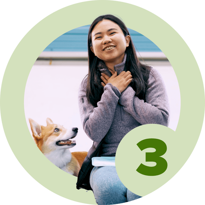 Classes – McCann Professional Dog Trainers