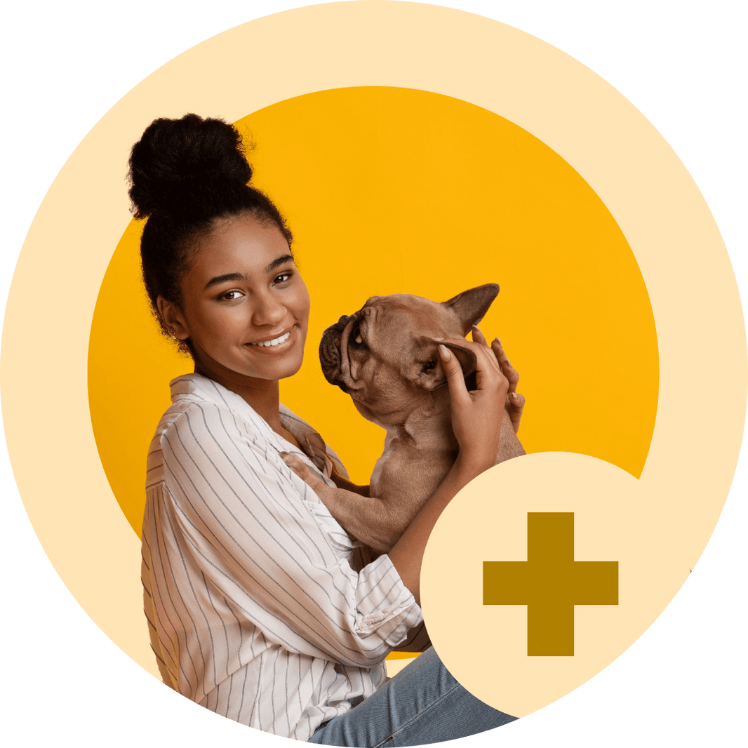 Classes – McCann Professional Dog Trainers