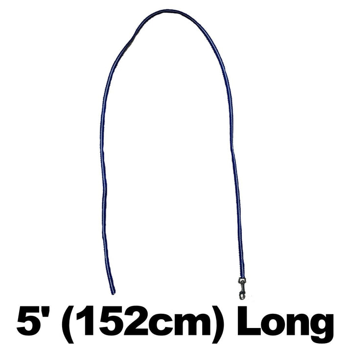 Puppy Training House-Line – McCann Professional Dog Trainers